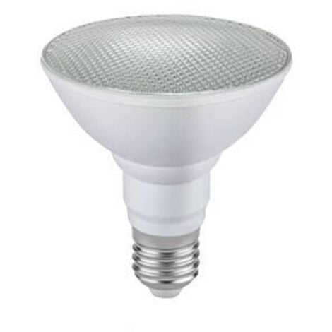 Ampoule LED PAR30 12W E27 6000K IP65