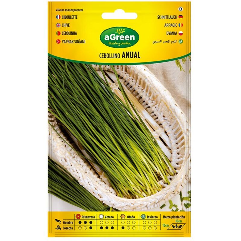 Su Semi Erba Cipollina Annuale 000239bolsh Agreen