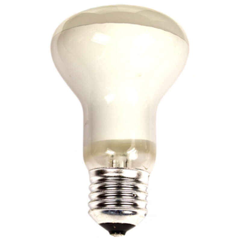Glühlampe mit Reflektor, R63, E27, 60 W
