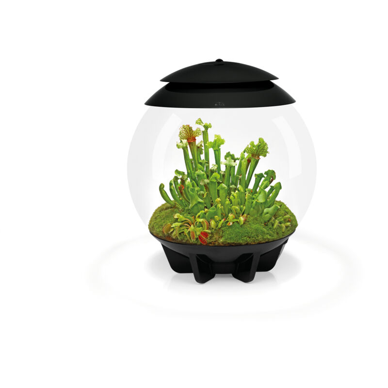 Schwarzes automatisiertes terrarium - Oase - Air 30 black