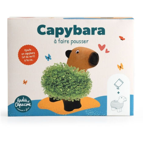 Capybara terre cuite poreuse avec graines de chia
