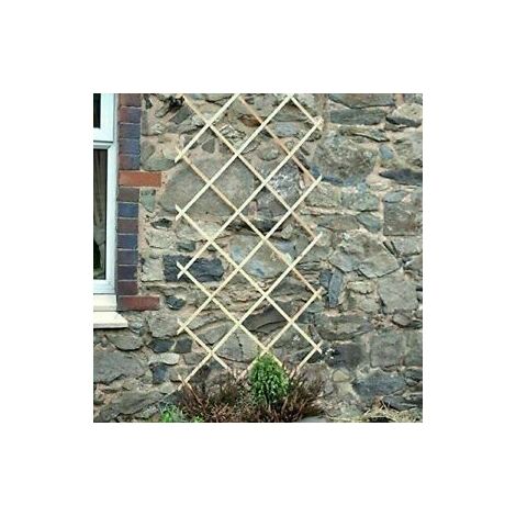 Garden Trellis 3ft x 6ft Expanding Wooden Garden Trellis Robust ...