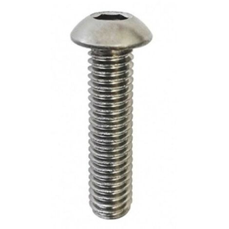 VITI METRICHE TBEI INOX A2 - M5 X 10 - 8 PZ.