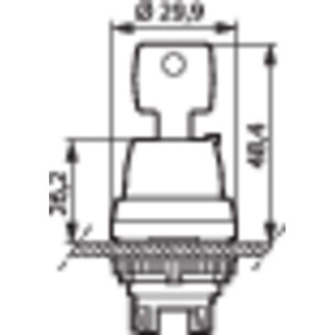 BACO BAL21LF00 L21LF00 Commutateur à clé collerette plastique, chromé 1 ...