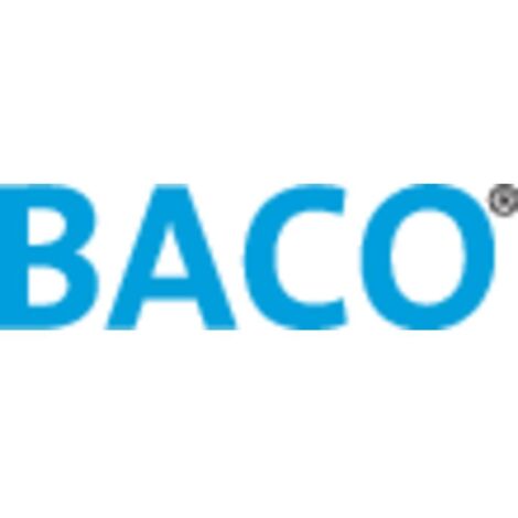 BACO BAL21LF00 L21LF00 Commutateur à clé collerette plastique, chromé 1 ...