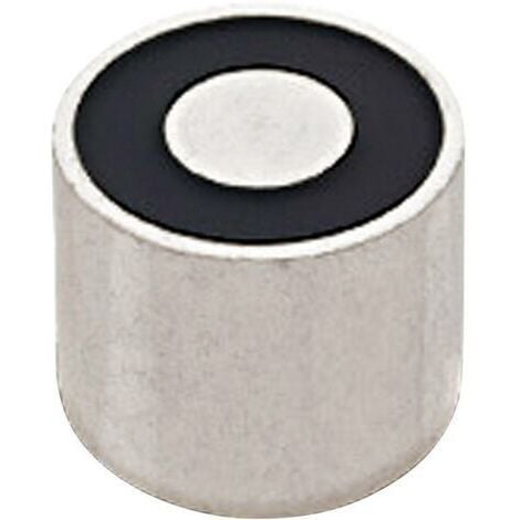 RED MAGNETICS Electroaimant aimanté (état hors tension) 15 N 12 V/DC 1. ...