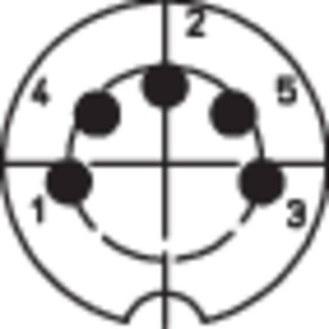 DIN mâle, coudé BKL Electronic 0202024 Nombre de pôles: 5 argent 1 pc(s)