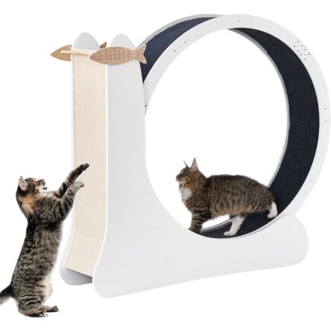 Soges Roue d'exercice pour Chat pour Entraînement à la Maison, Tapis de ...