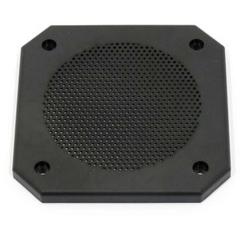 Visaton 10 PL Gitter