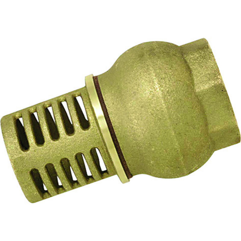 Crépine - 26x34 - BOUTTE