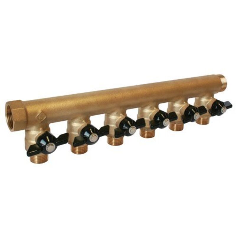 Collecteur sanitaire M-F 1"+mini-vannes monobloc 6 départs 1/2" - Somatherm