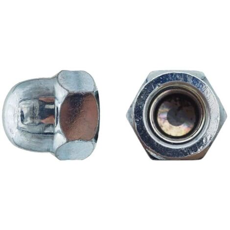 50 Ecrous Borgnes M20 mm - DIN 1587 - Zingué blanc - D-Work