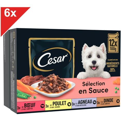 CESAR 72 Sachets fraîcheur en sauce 4 variétés pour chien 100g (6x12)