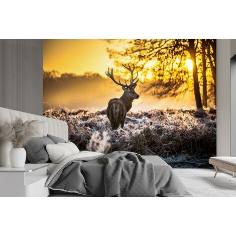 Carta Da Parati, Cervo nella nebbia - 400x280
