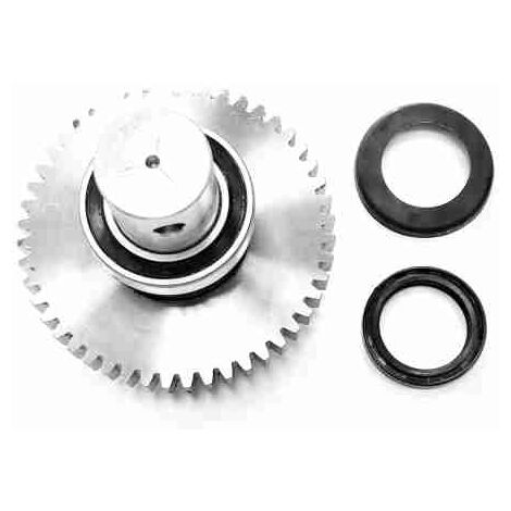 Langsames Wellengetriebe – Froschmotorersatz CAME 119RIA015