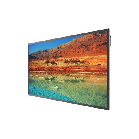 LM65-S400 - 64,5" 4K LED-Monitor 400 Nits 24/7