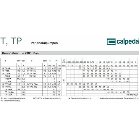 Peripheralpumpe CALPEDA TP 100/B 2,2kW 3Hp Drei Phasen 400V 50Hz TP ...