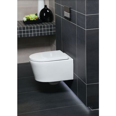 Geberit Toilet Frame + Swiss Aqua Technologies Rimless toilet + soft ...