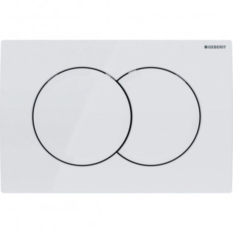 Geberit 112cm Toilet Frame + Swiss Aqua Technologies rimless toilet ...