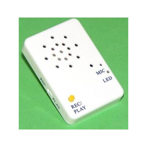 Recorder & Player mit Box