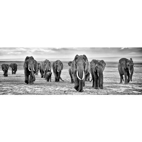 Tableau sur toile troupeau d'éléphants noir & blanc 45x135 cm ...