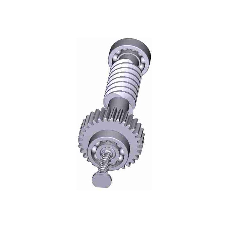 Tornillo sin fin y corona para motor FAST FAST40 Reemplazo CAME 119RID374