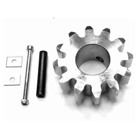 Piñón M6 Z12 By-3500T Repuesto CAME 119RIY066