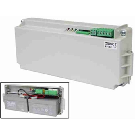 Roger - CARGADOR DE BATERÍAS B71/BC/INT + 2 BATERÍAS INTERNAS DE 1,2 AH EN CAJA DE PLÁSTICO PARA ...