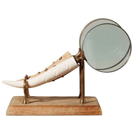 Ensemble 2 loupes cornes sur support 16x31x8cm