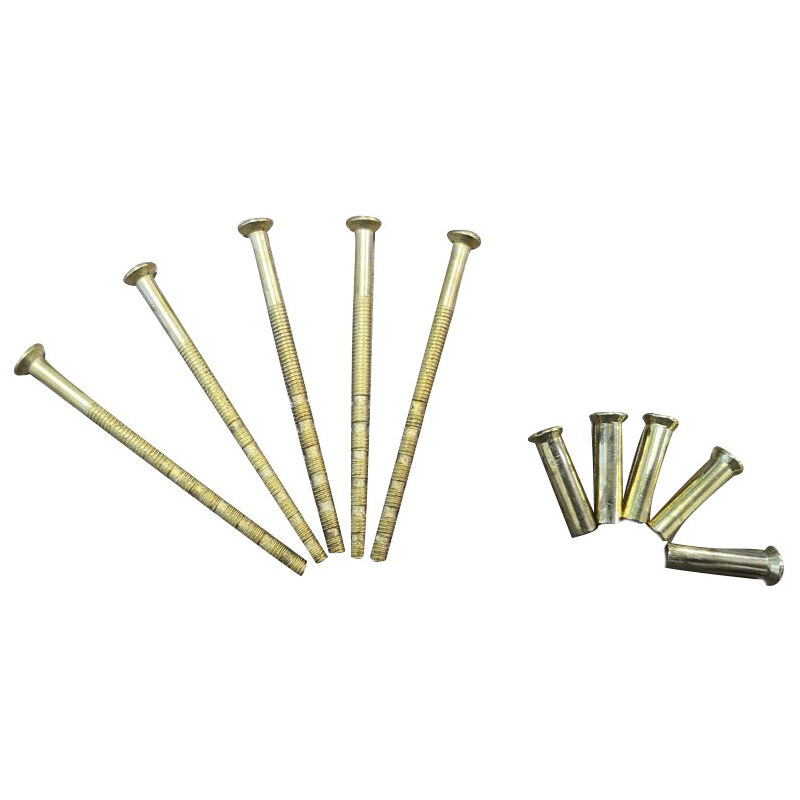 Vis reliure M4 recoupable 30-65mm avec douille M4x22 laiton poli sachet ...