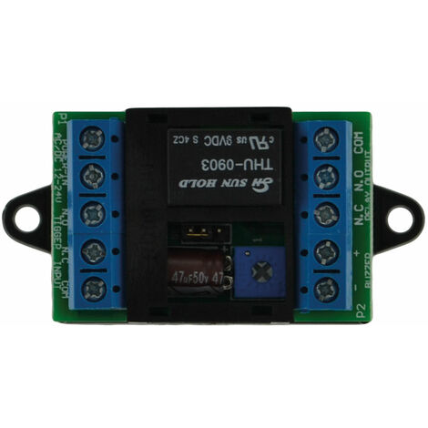 Module temporisation NO / NF 12/24V - TM200