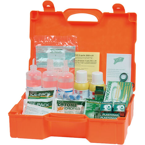 Boîte Premiers Secours 'Cps154' Cm 51 X 41 X 13