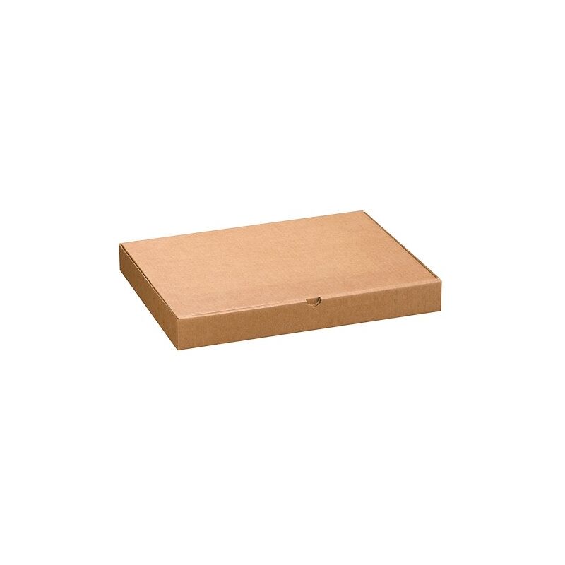 Boîte postale extra plate format A3 - 43 x 31 x 5 cm - Lot de 50