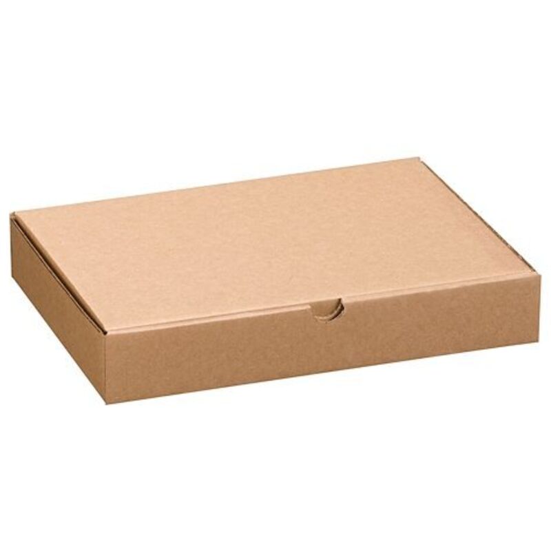 Boîte postale extra plate format A4 - 31 x 22 x 5 cm - Lot de 50