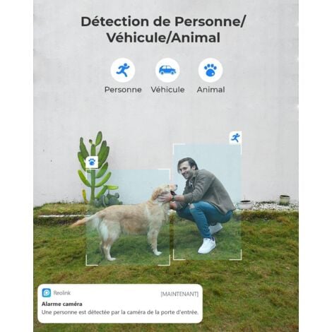 Reolink 4K 8MP Caméra Surveillance Extérieure PoE, Double Objectif et ...