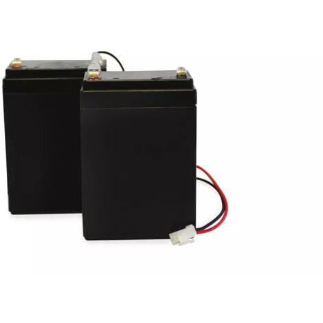SCS Sentinel - Kit 2 batteries secours, BatteryGate 2