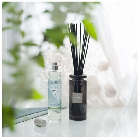 Esteban - Bouquet parfumé initial Pur lin 100 ml