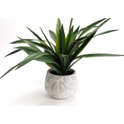 Amadeus - Cache pot Nature 15,5 cm