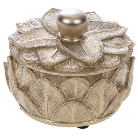 Amadeus - Boite Léon