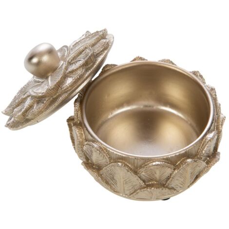 Amadeus - Boite Léon