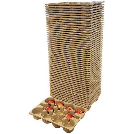 Paper Fibre Apple Storage Trays (Set of 50)