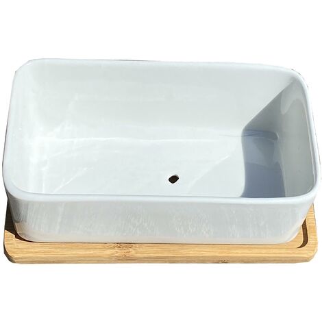 White Succulent and Cactus Trough Plant Pot