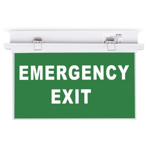 Dauerhafte Einbau-Notleuchte mit EMERGENCY EXIT-Piktogramm