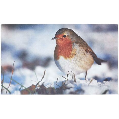 HOMESCAPES Recycled Rubber Printed Winter Robin Doormat