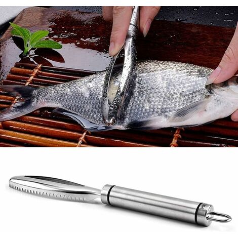 Décapant d'écailles de Poisson, Acier Inoxydable Poisson échelle ...
