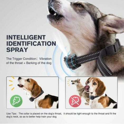 Collier Anti Aboiement Chien, Collier Anti-aboiement Chien Citronn ...