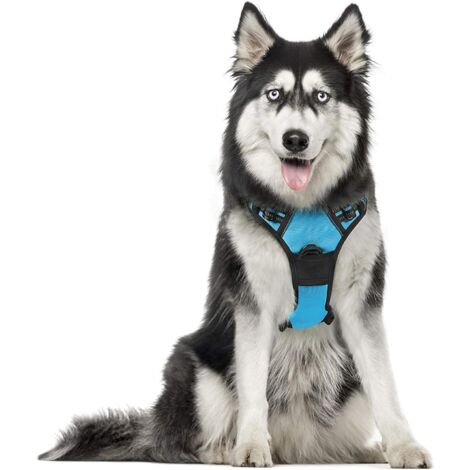 Harnais Chien XL Arnais Bleu Clair Anti Traction Réfléchissant Gilet ...