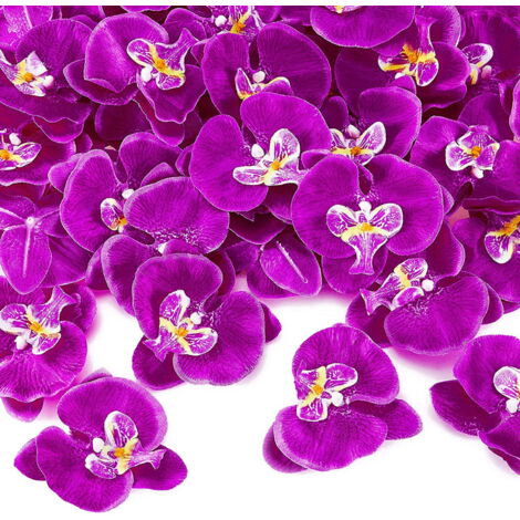 Orchidee De Soie