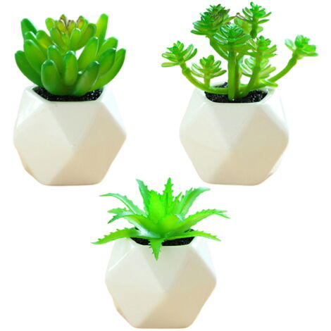 3pcs mini plantes succulentes en pot mode créative petits ornements ...