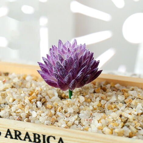 Mini plantes succulentes artificielles violettes, fausses fleurs ...